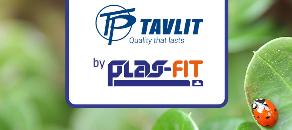 News - Tavlit