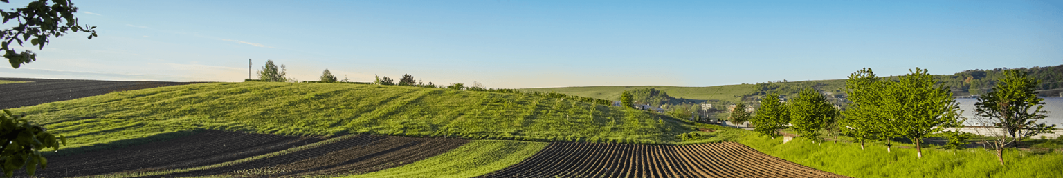 Applications - Tavlit